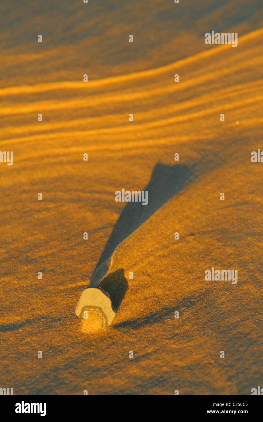 Pebble in sand after strong wind. Yamal. RUSSIA Stock Photo - Alamy
