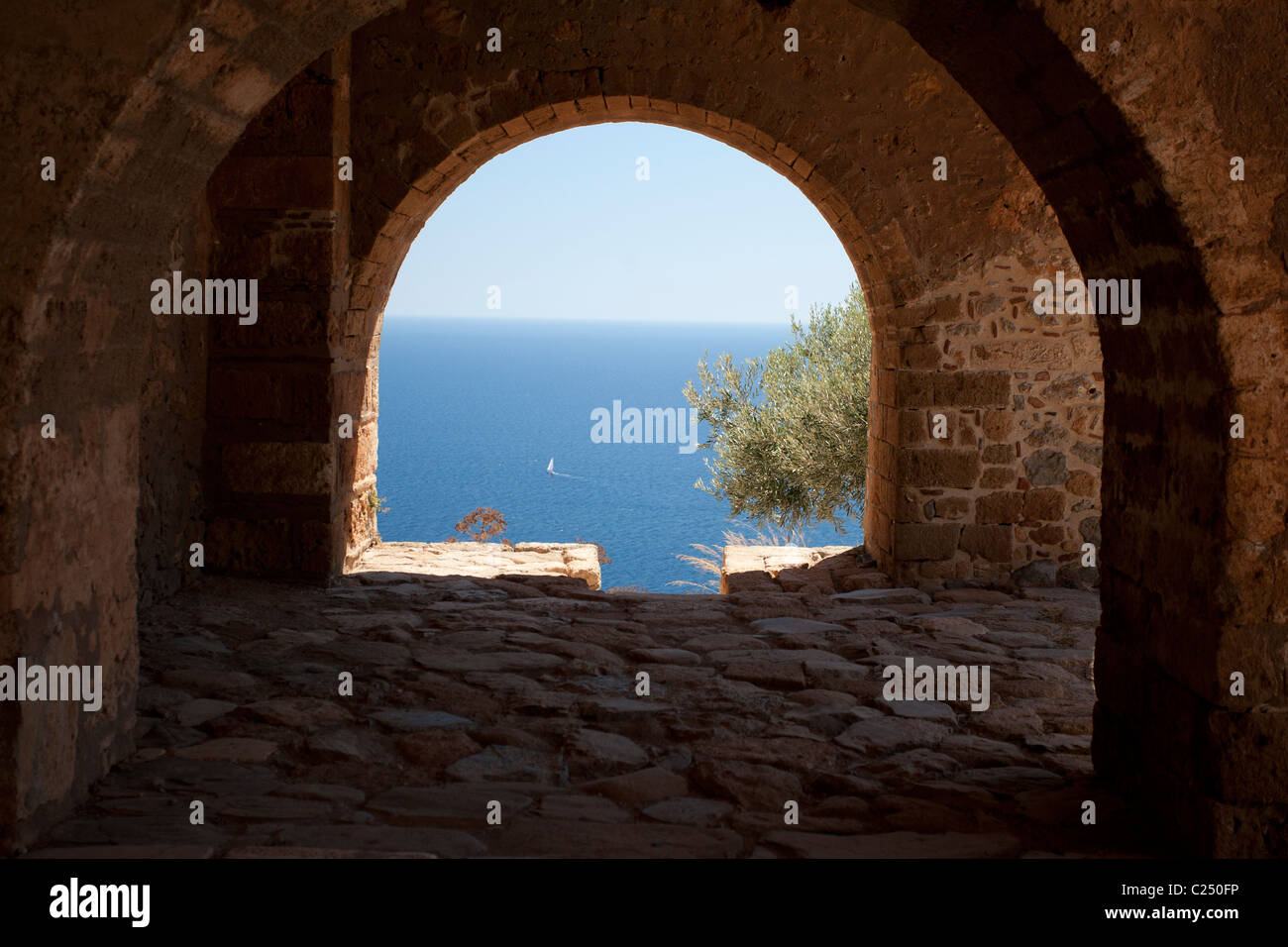 An olive tree, sailboat as seen throughout the XIII° century church of ...