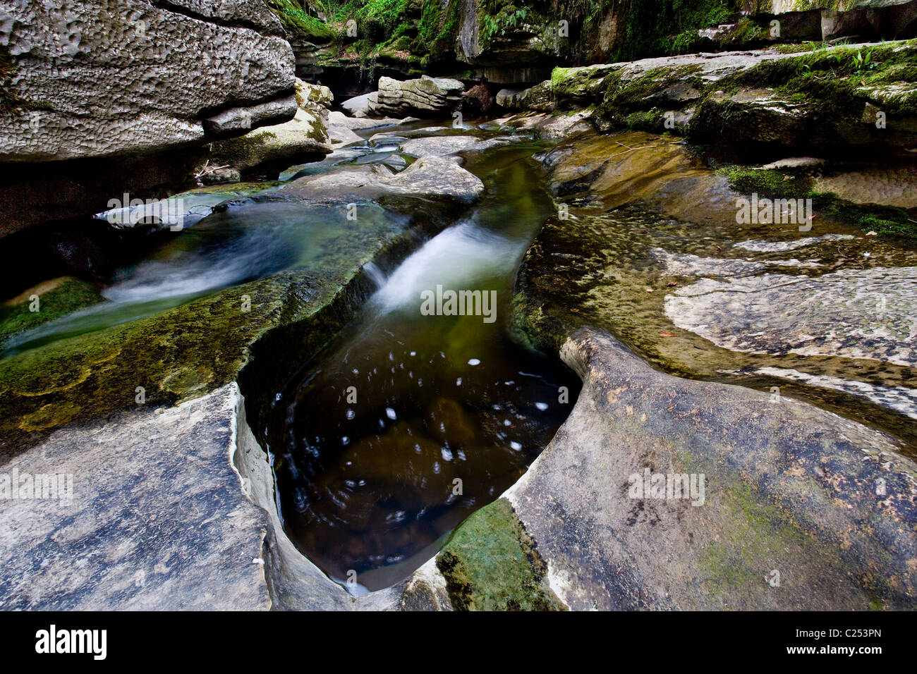 How Stean Gorge, near Pateley Bridge, Nidderdale, Yorkshire Dales Stock ...