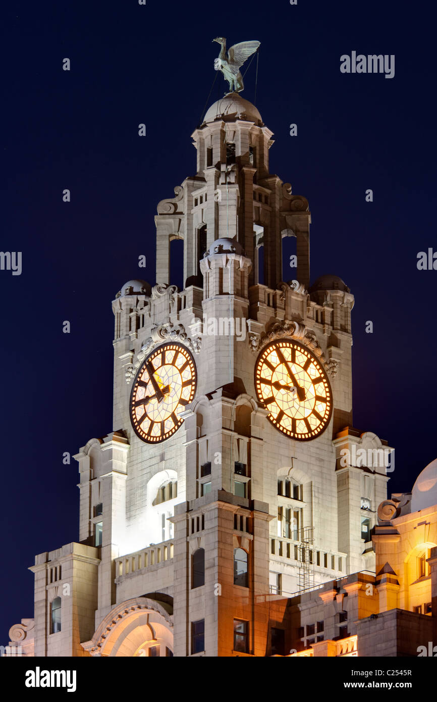 Liver bird wings hi-res stock photography and images - Alamy