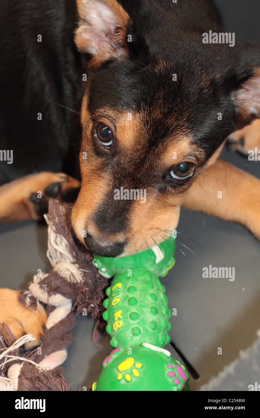 Possessive hi-res stock photography and images - Alamy