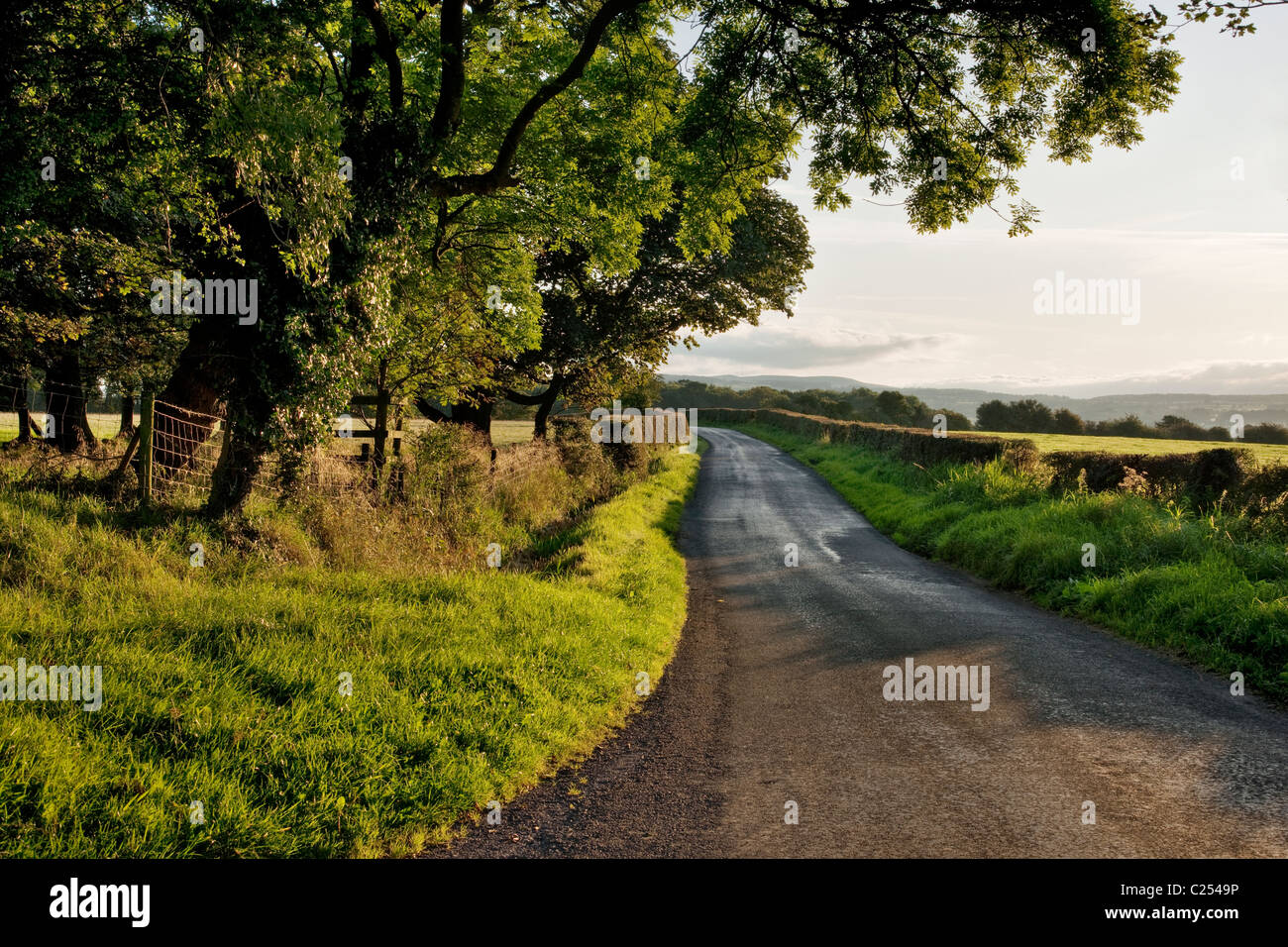 Lane boundaries hi-res stock photography and images - Alamy