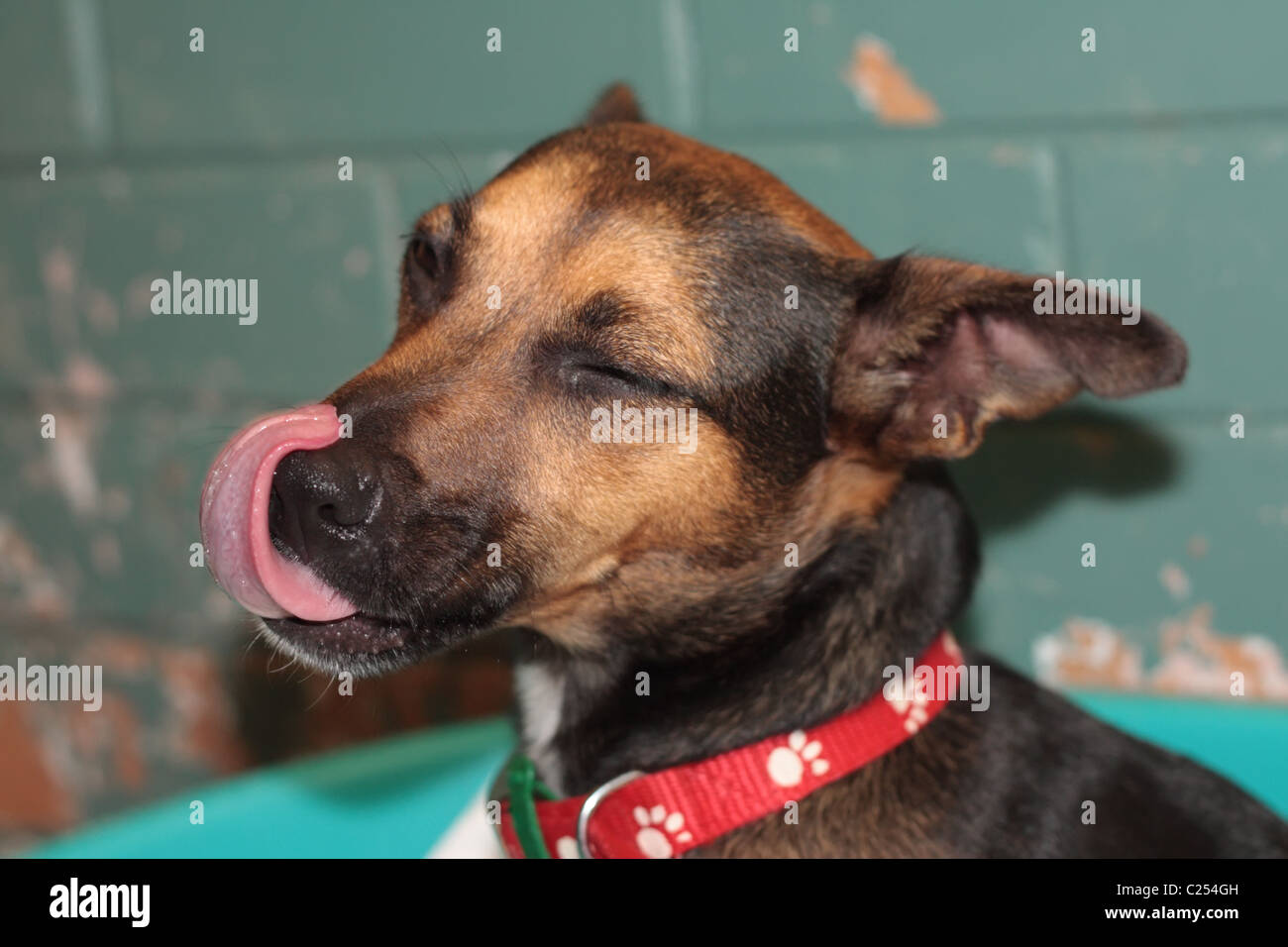 Self indulgence hi-res stock photography and images - Alamy