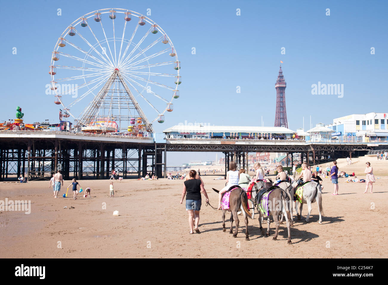 Donkeys beach ride blackpool hi-res stock photography and images - Alamy