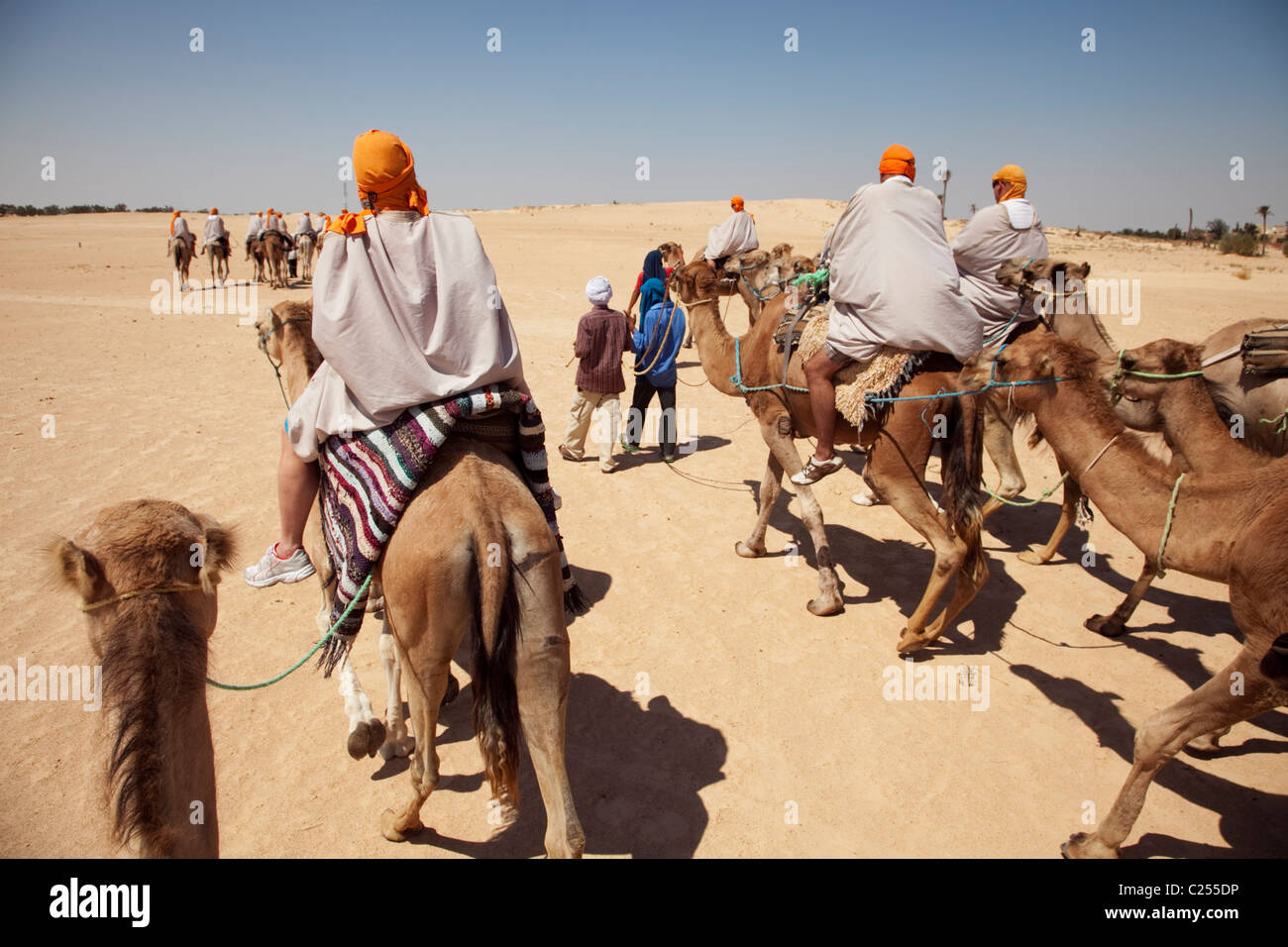 Camel gateway hi-res stock photography and images - Alamy