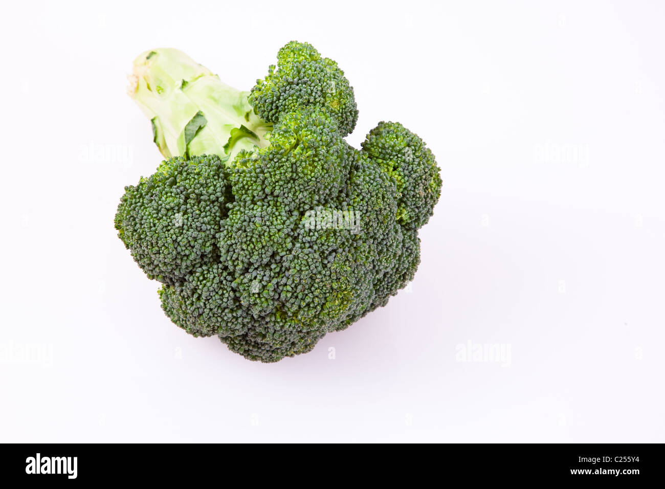 Fresh broccoli on light background Stock Photo - Alamy