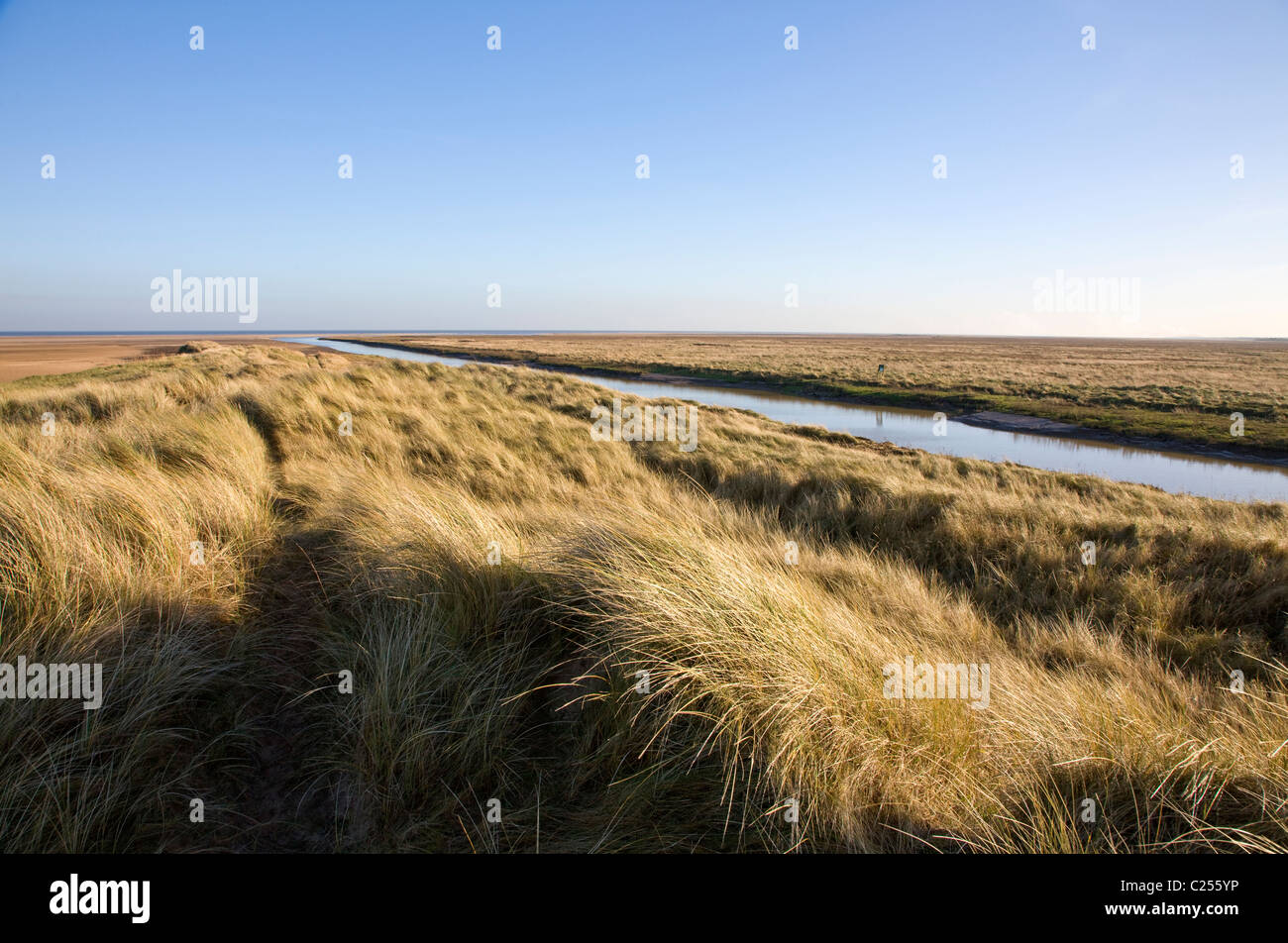 Saltfleet High Resolution Stock Photography and Images - Alamy