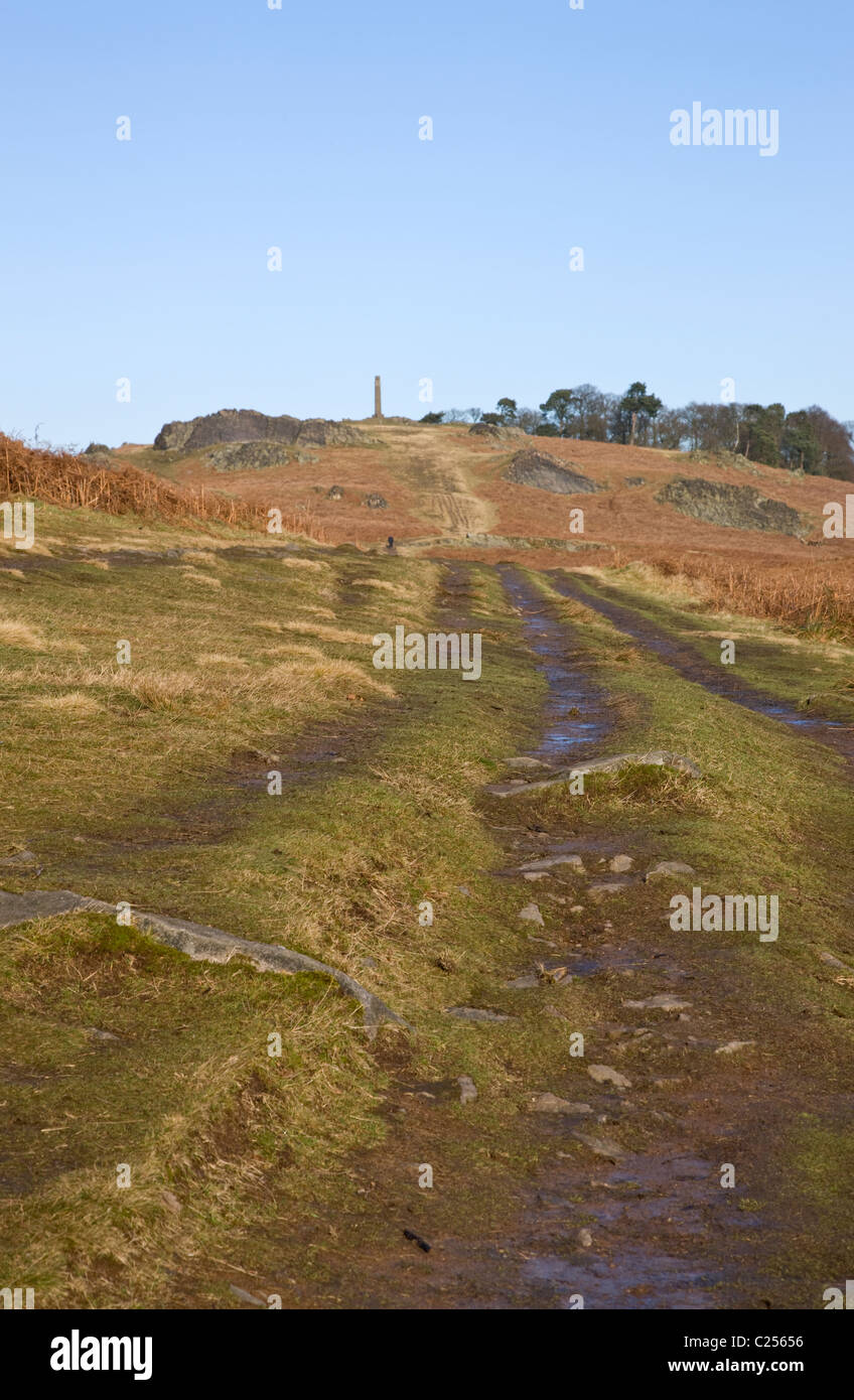 Bradgate Country Park Stock Photo - Alamy