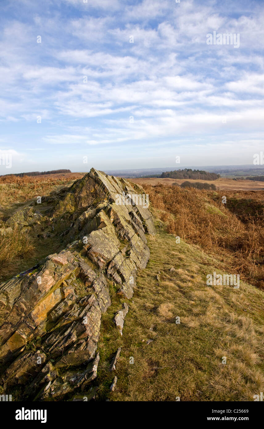 Bradgate Country Park Stock Photo - Alamy