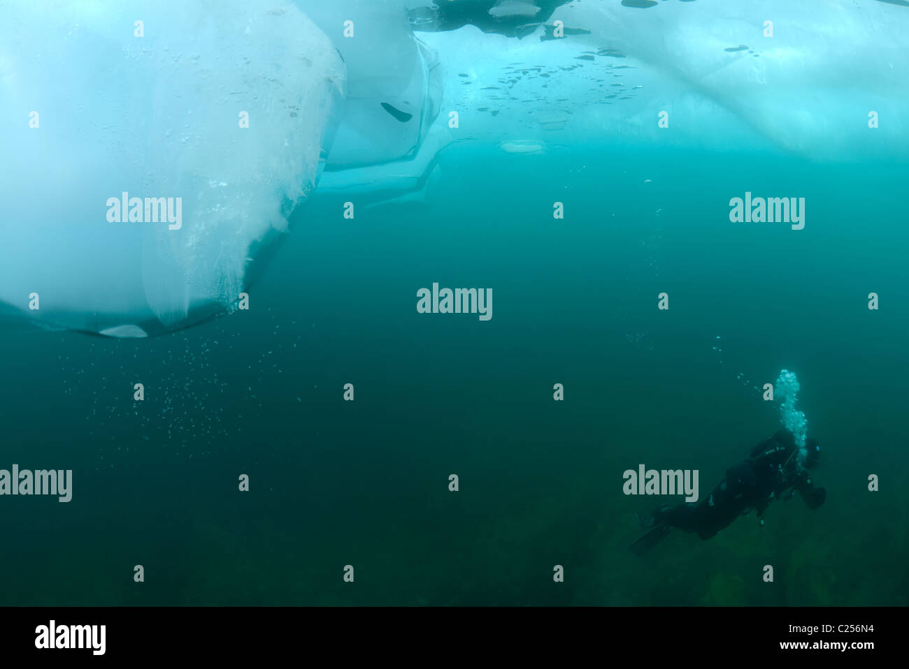 Scuba diving in baikal hi-res stock photography and images - Alamy