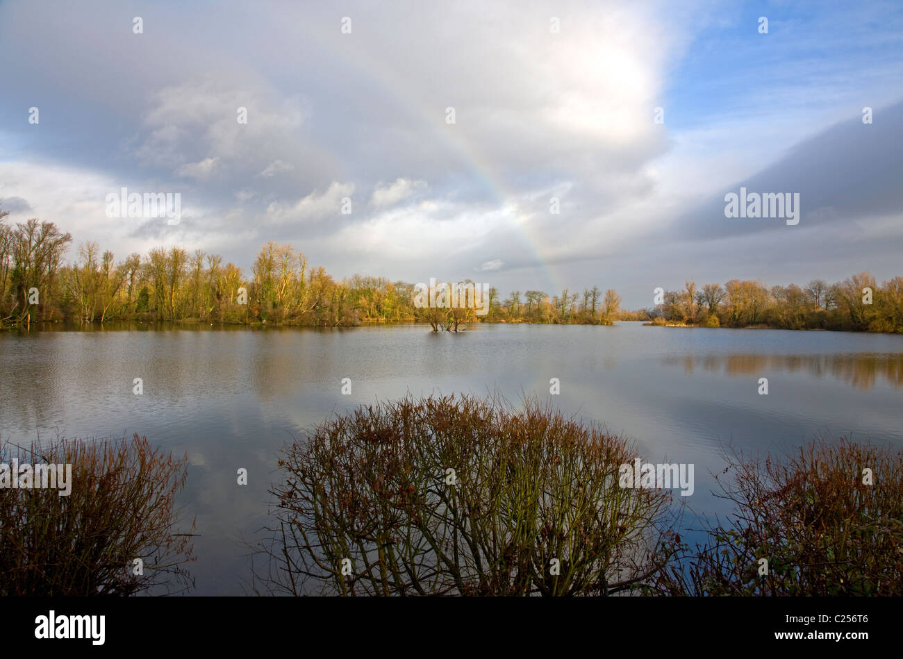 Heronry South Lake at Paxton Pits Nature Reserve, St Neots Stock Photo ...