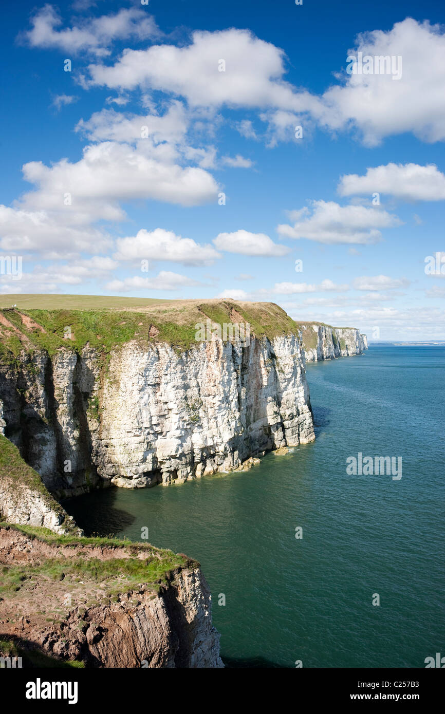 Chalk cliffs looking towards Bempton from Thornwick Bay, Flamborough ...