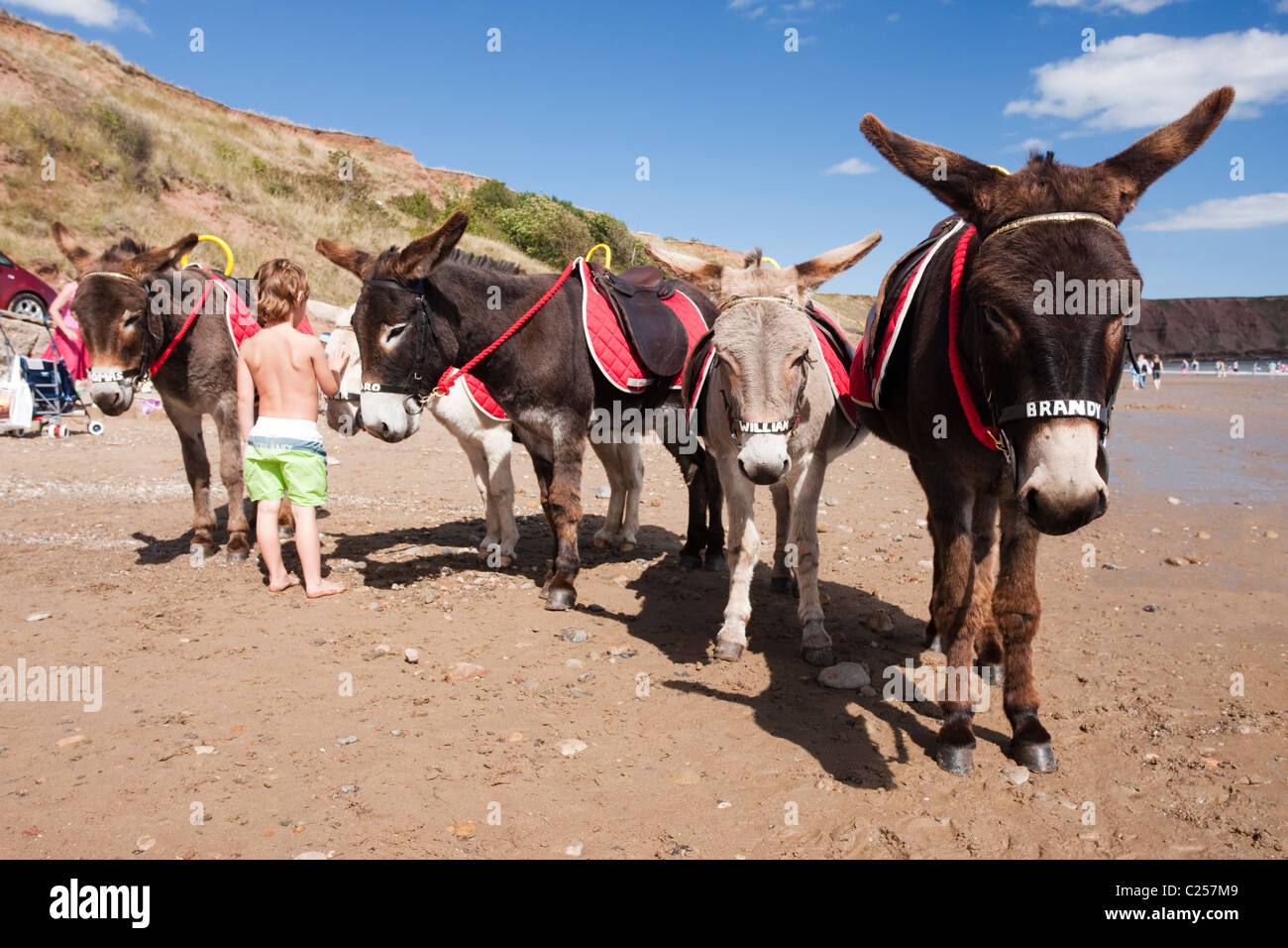 Traditional seaside donkey rides hi-res stock photography and images ...
