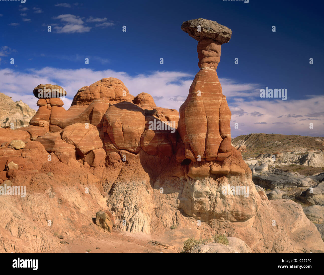 Toadstool hoodoos Grand Staircase Escalante National Monument Utah USA ...