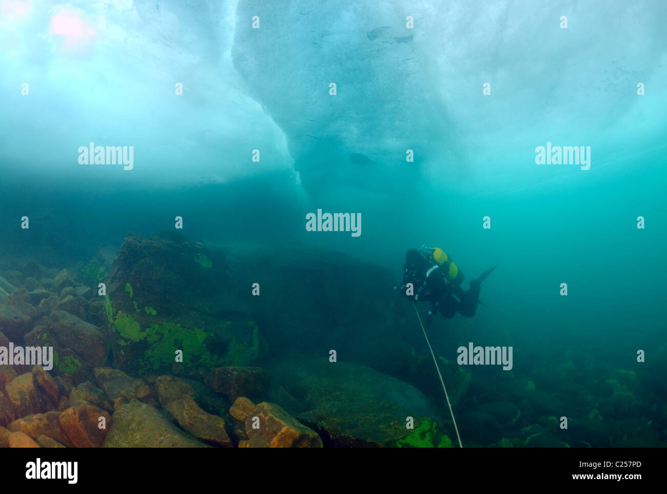 Diving in freshwater hi-res stock photography and images - Alamy