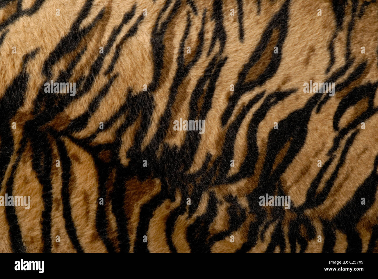 Tiger Print Pattern High Resolution Stock Photography and Images - Alamy
