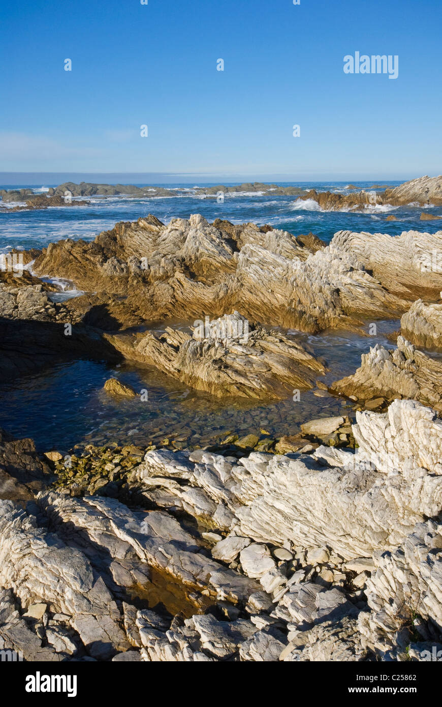 Uplifted ocean sediment, Kaikoura, New Zealand Stock Photo - Alamy