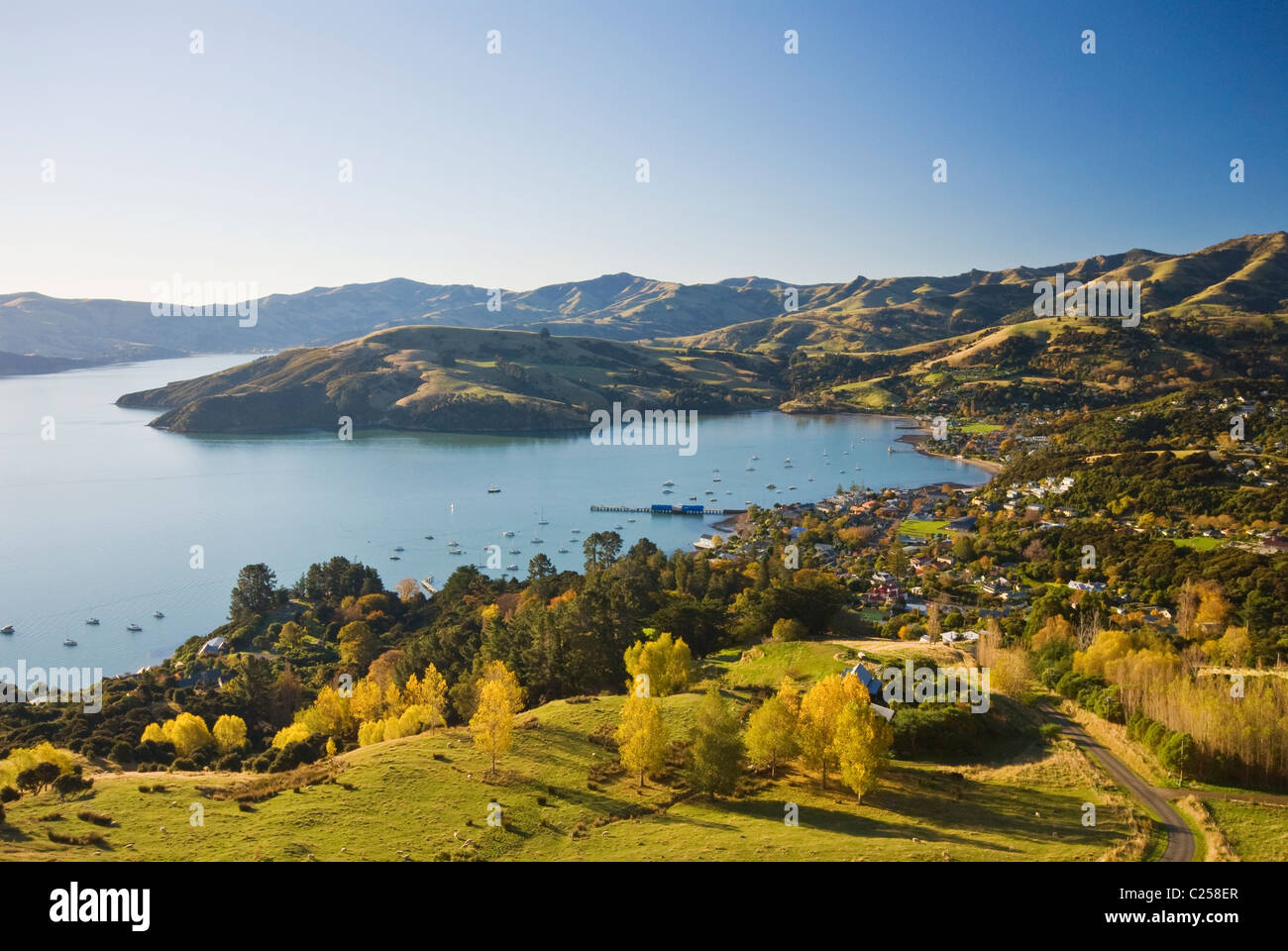Akaroa Harbour, Banks Peninsula, New Zealand Stock Photo - Alamy