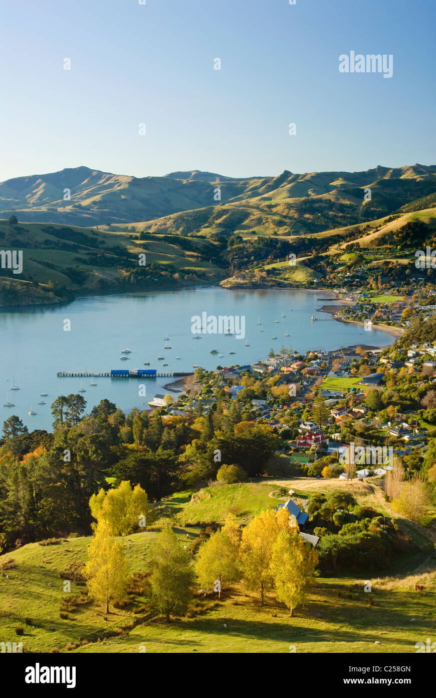 Akaroa Harbour, Banks Peninsula, New Zealand Stock Photo - Alamy