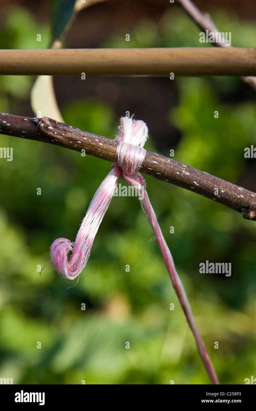 String detail hi-res stock photography and images - Alamy