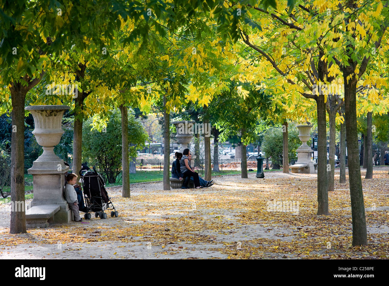Plane Trees Paris High Resolution Stock Photography and Images - Alamy