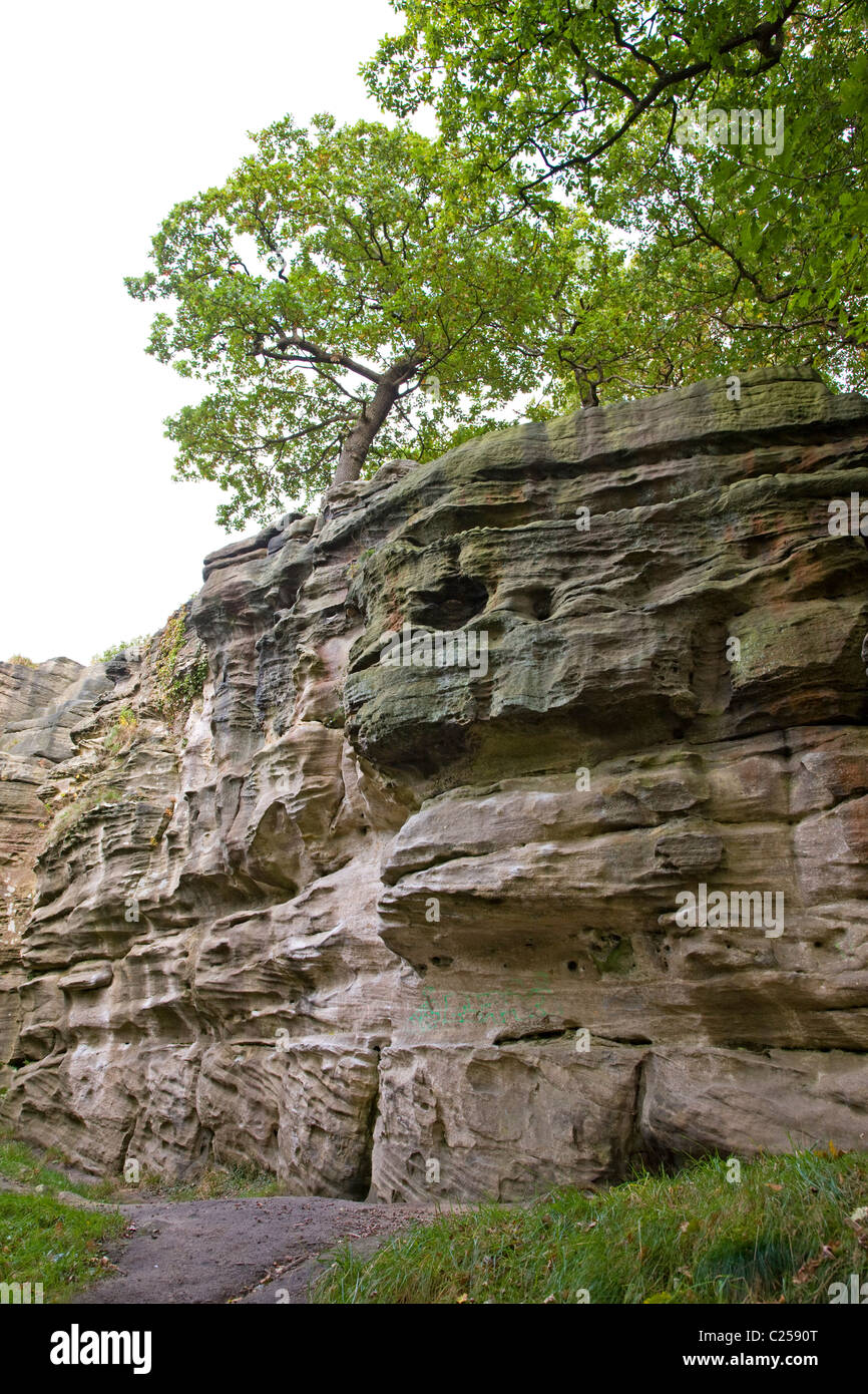 Namurian series hi-res stock photography and images - Alamy