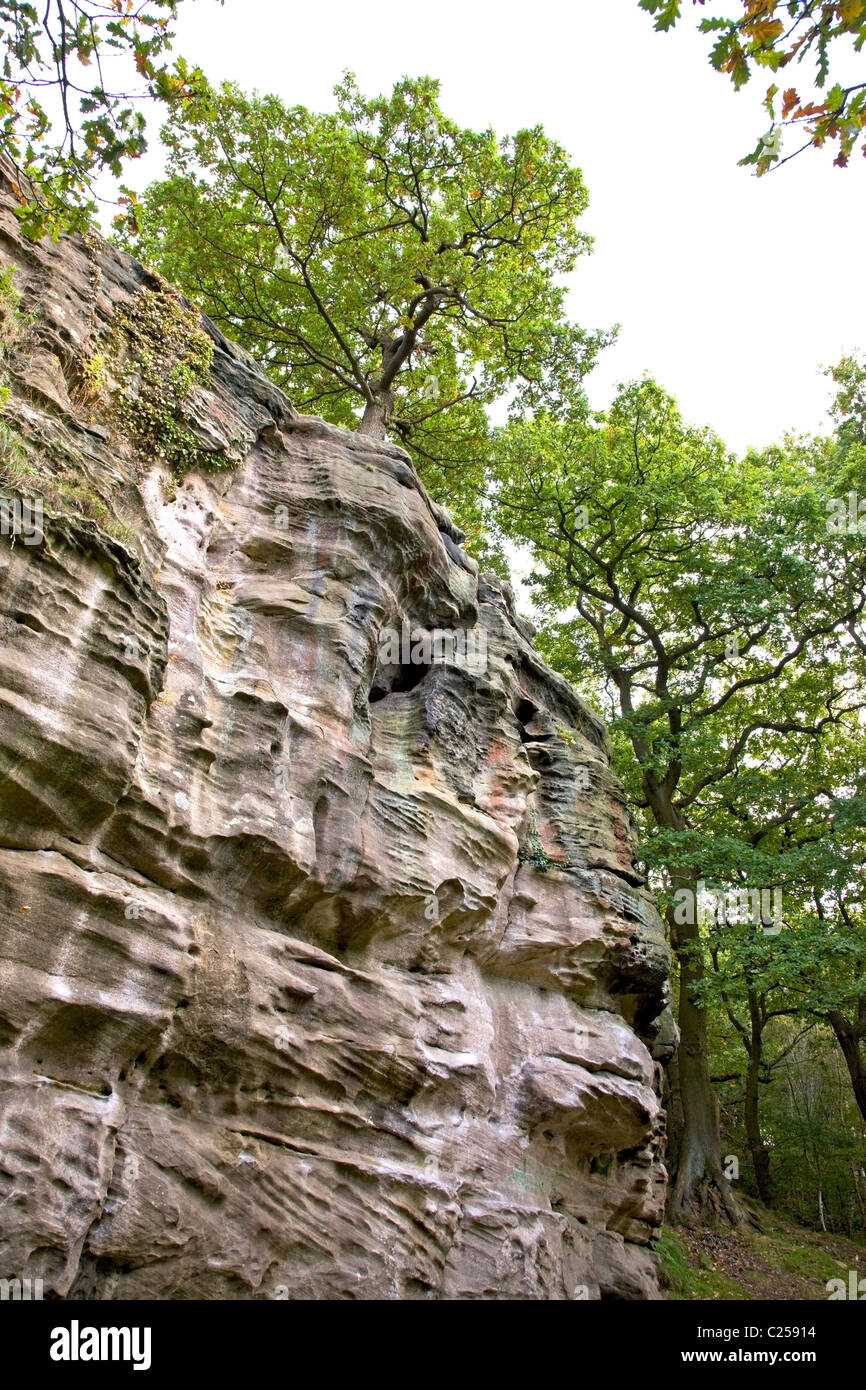 Namurian series hi-res stock photography and images - Alamy