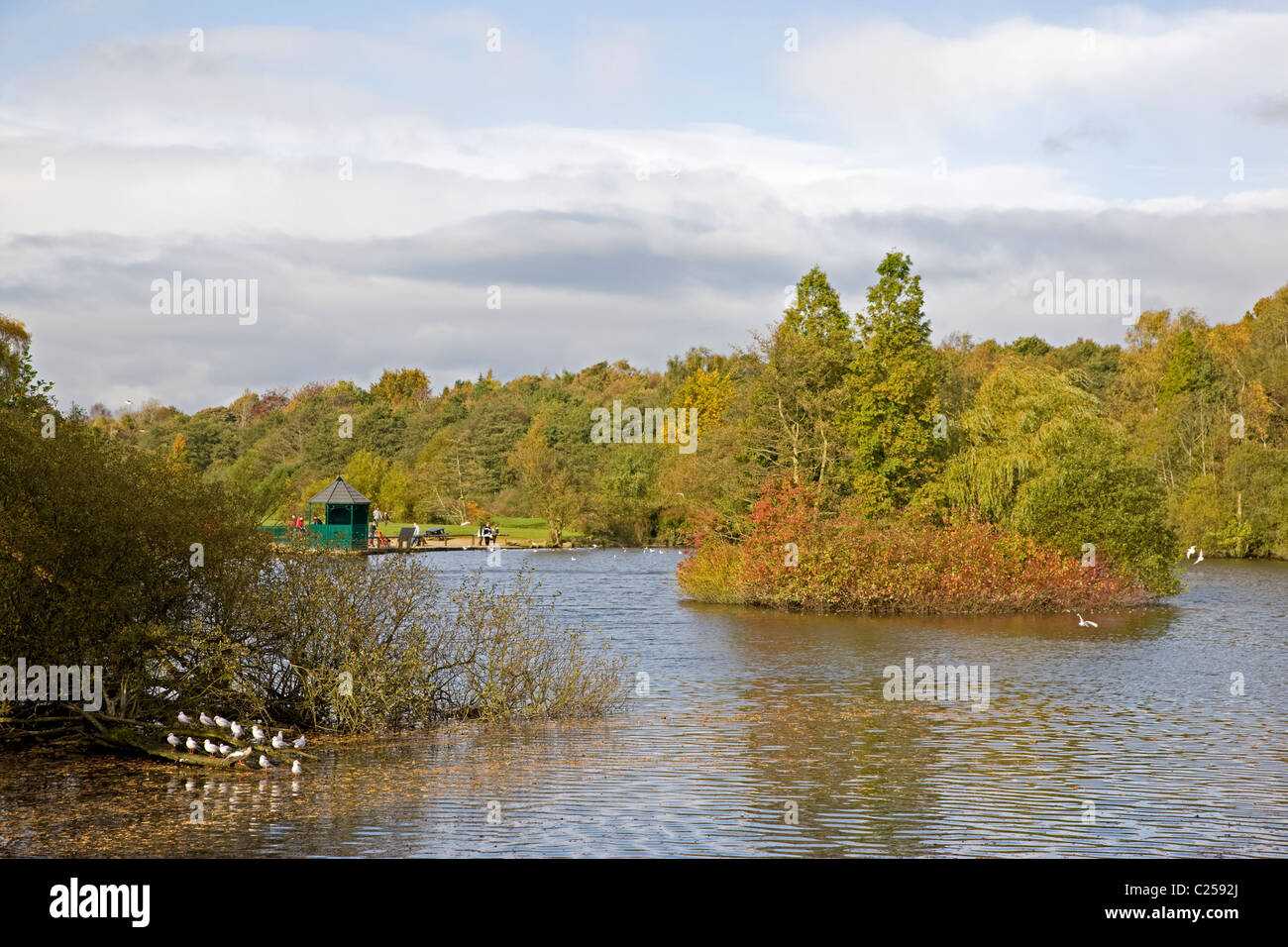 Golden Acre Park Stock Photo - Alamy
