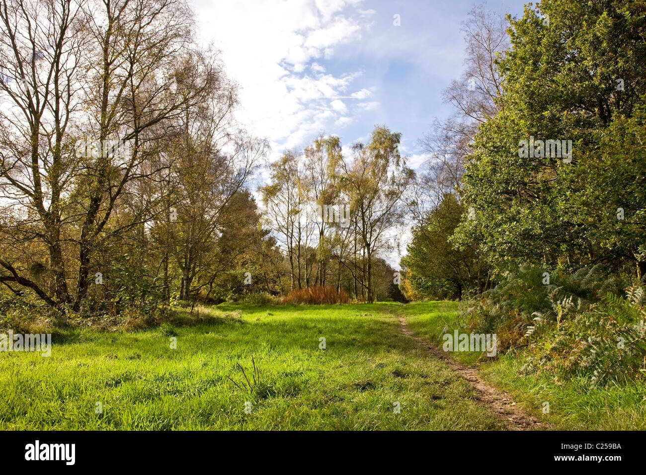The chevin hi-res stock photography and images - Alamy