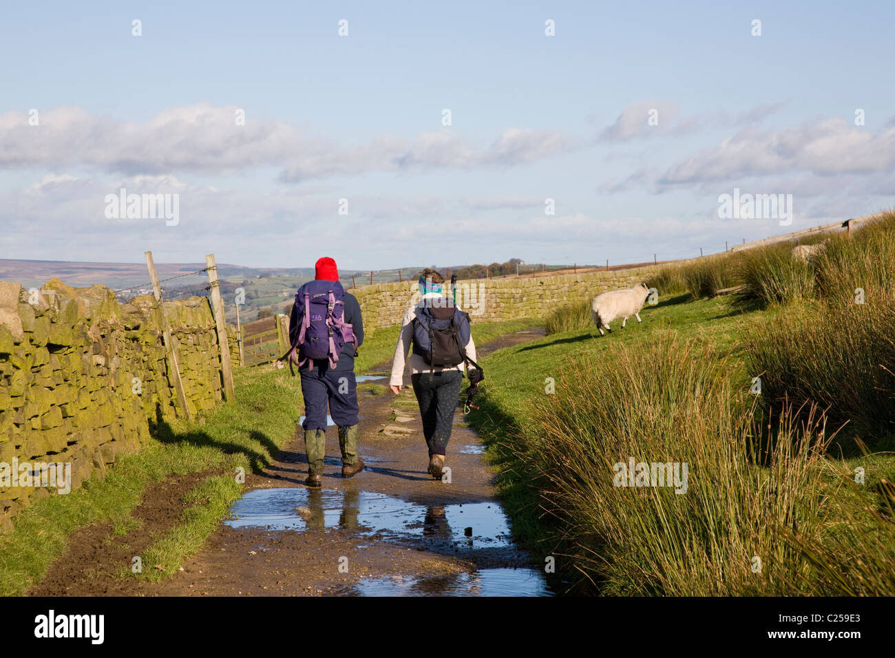 Walkers pathway hi-res stock photography and images - Alamy