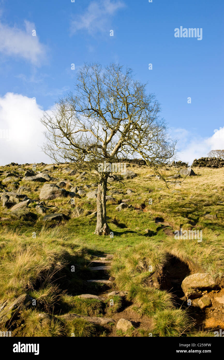 The Bronte Way towards Top Withins Stock Photo - Alamy