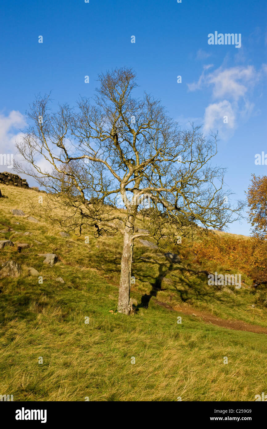 Bronte trail hi-res stock photography and images - Alamy