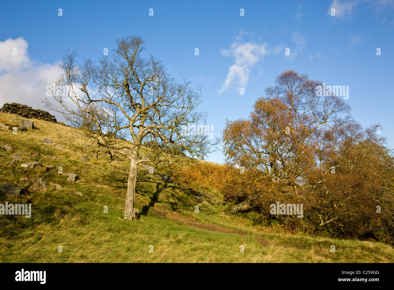 Bronte Trail High Resolution Stock Photography and Images - Alamy
