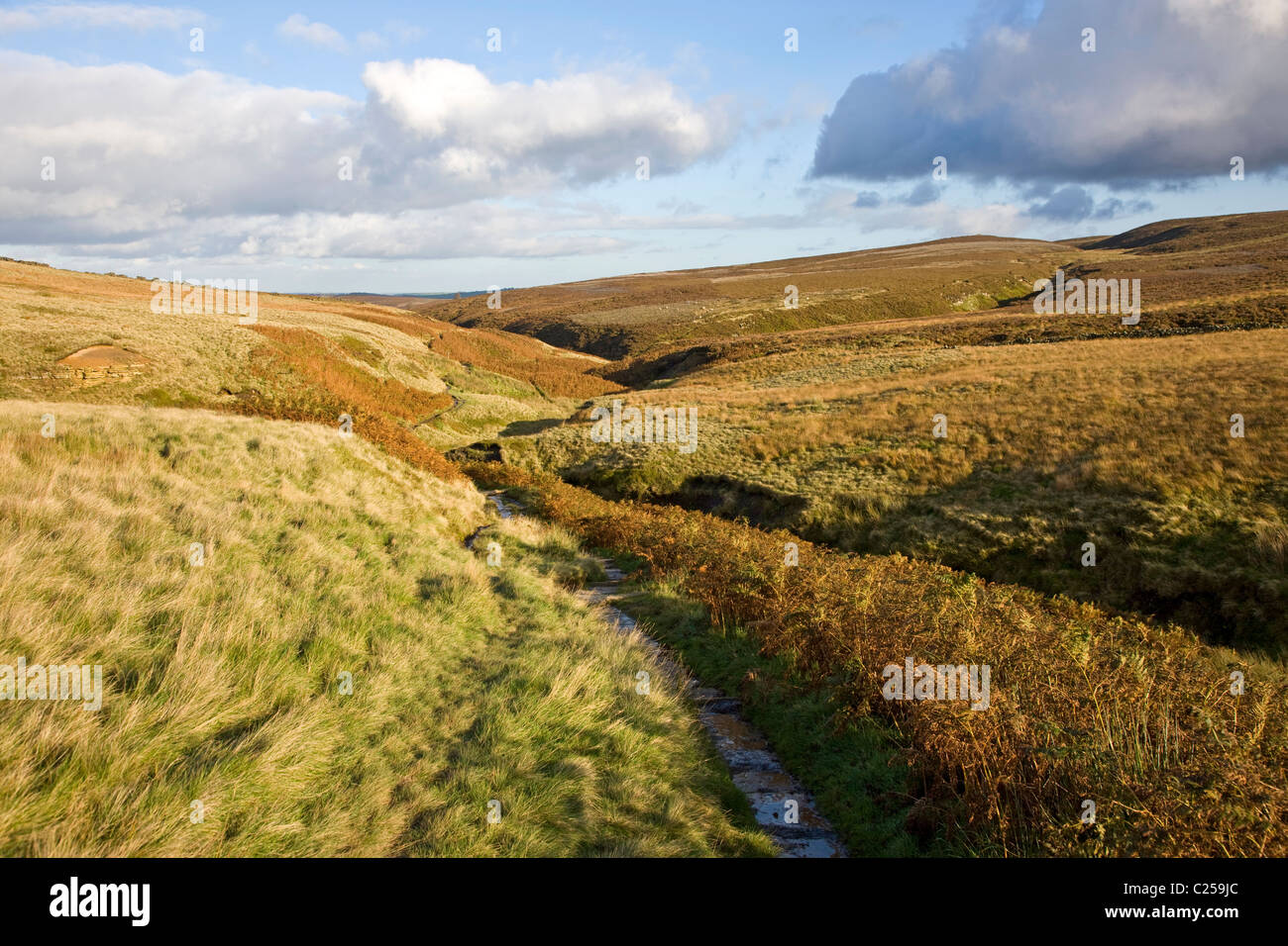 The Bronte Way towards Top Withins overlooking Haworth Moor on South ...