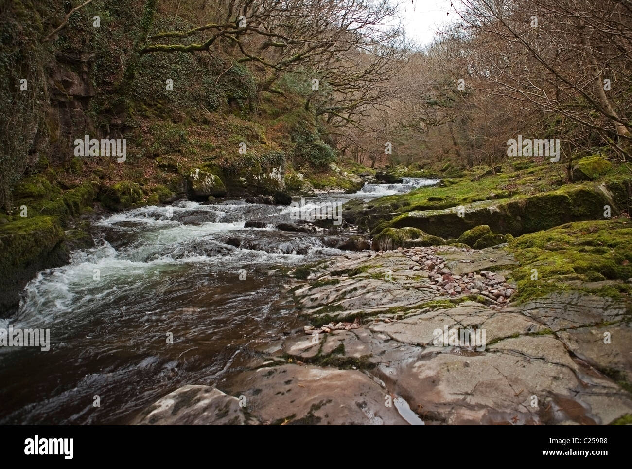 East Lyn River south of Lynmouth Stock Photo - Alamy