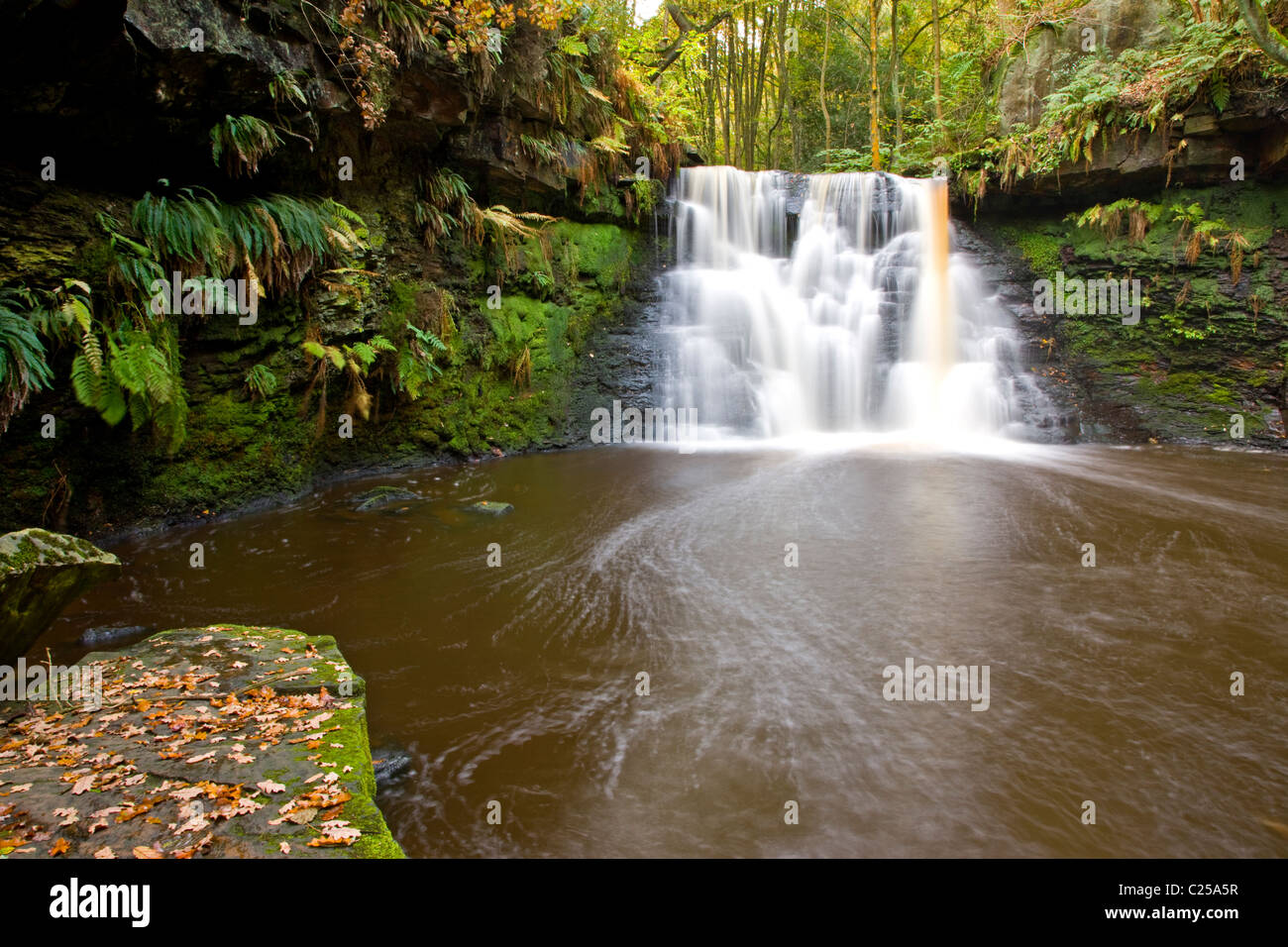 Goit Stock Falls in heart of Goit Stock Wood Stock Photo - Alamy