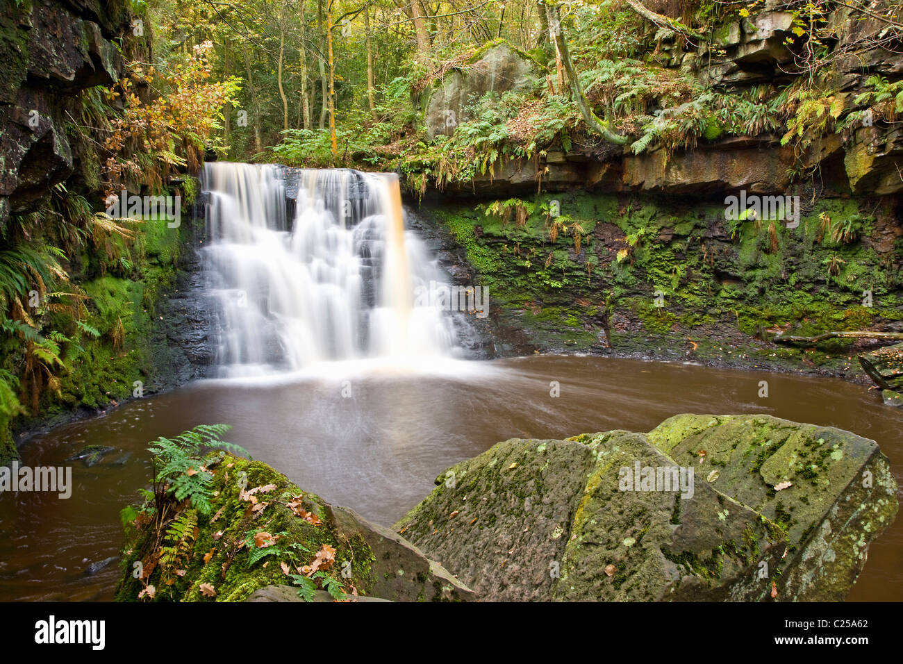 Goit Stock Falls in heart of Goit Stock Wood Stock Photo - Alamy