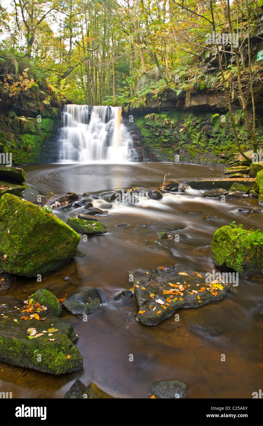 Goit Stock Falls in heart of Goit Stock Wood Stock Photo - Alamy