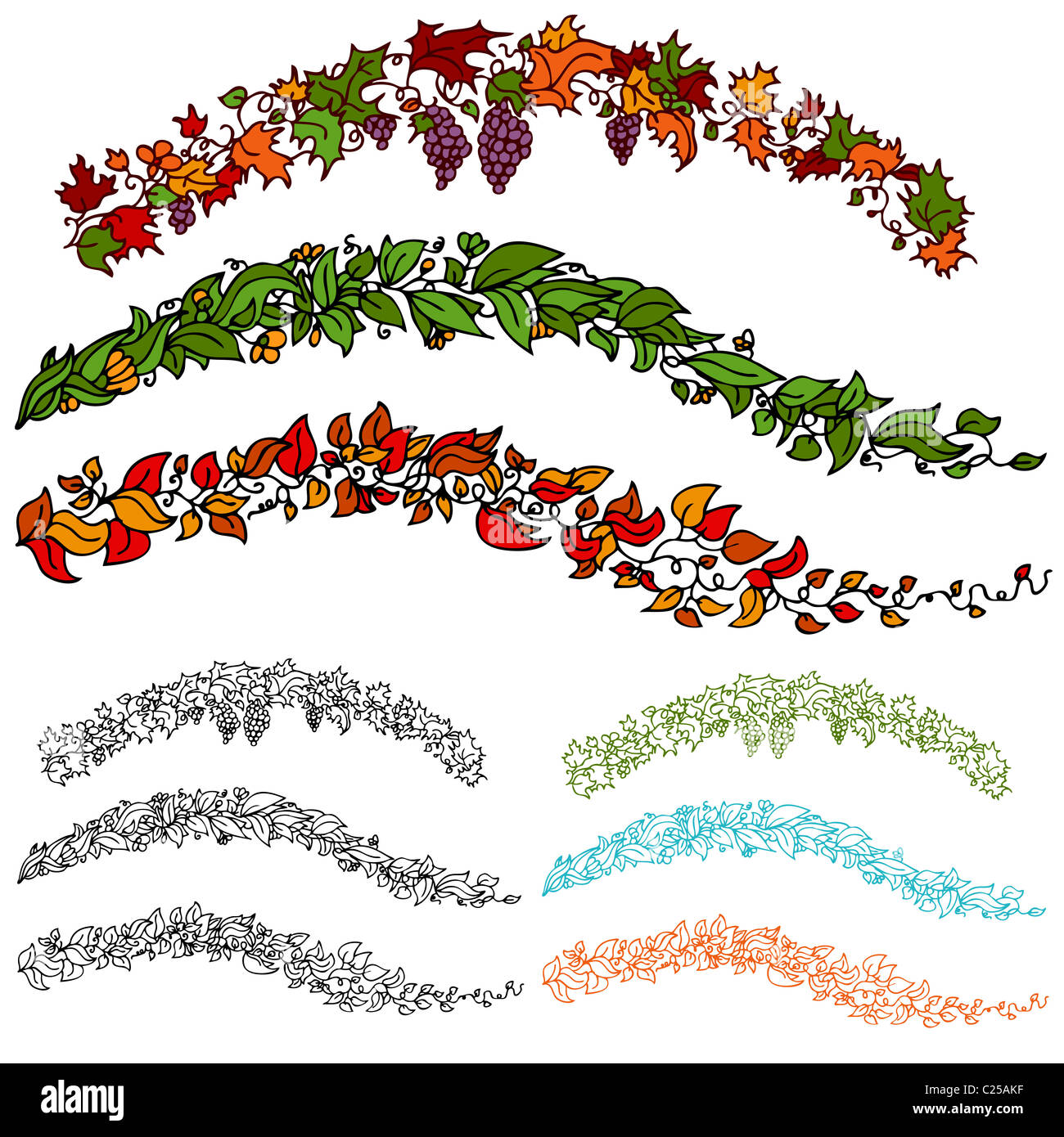 An image of a set of autumn flower leaf vines Stock Photo - Alamy