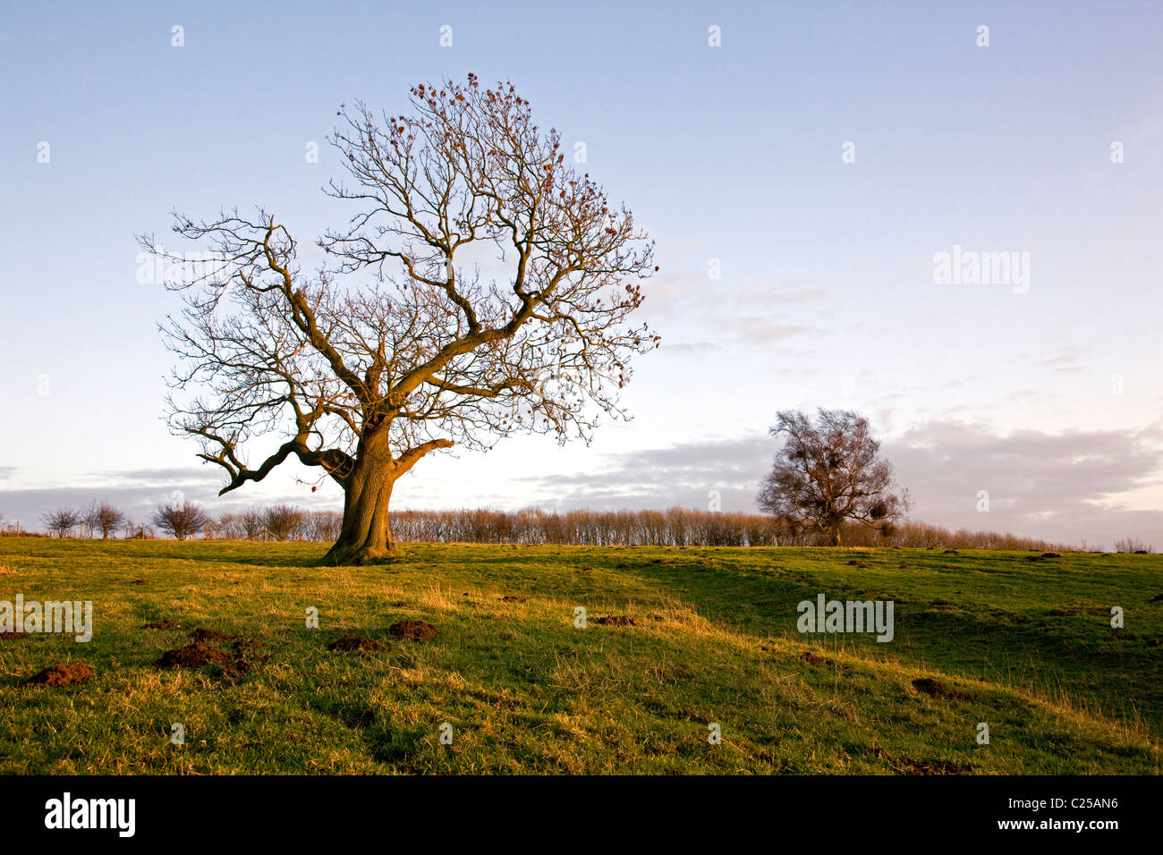 View of countryside along the Viking Way in Walesby Stock Photo - Alamy