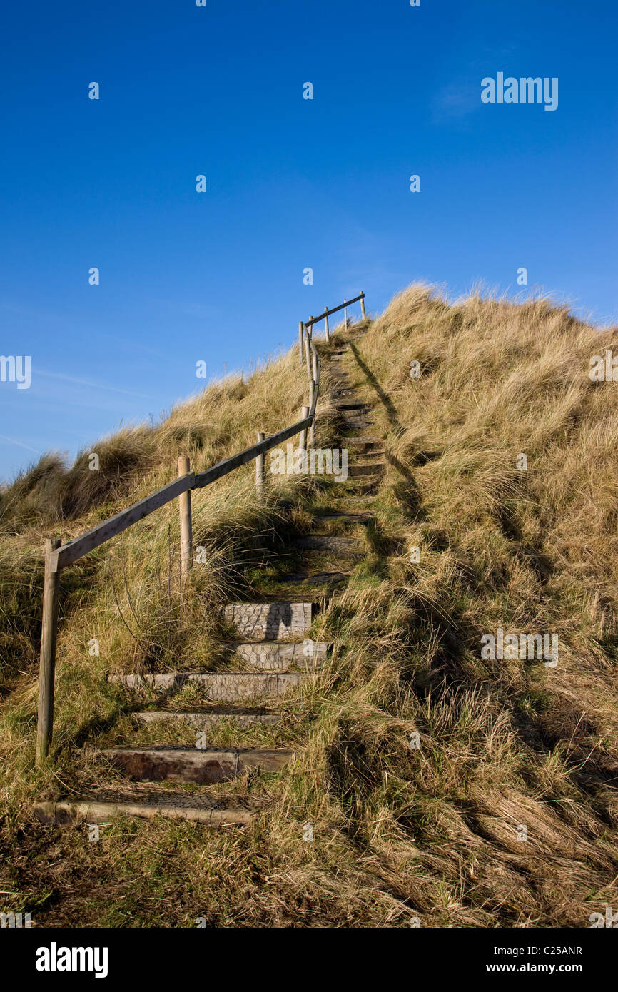 Dunes at the Rimac National Nature Reserve at Saltfleet Stock Photo - Alamy