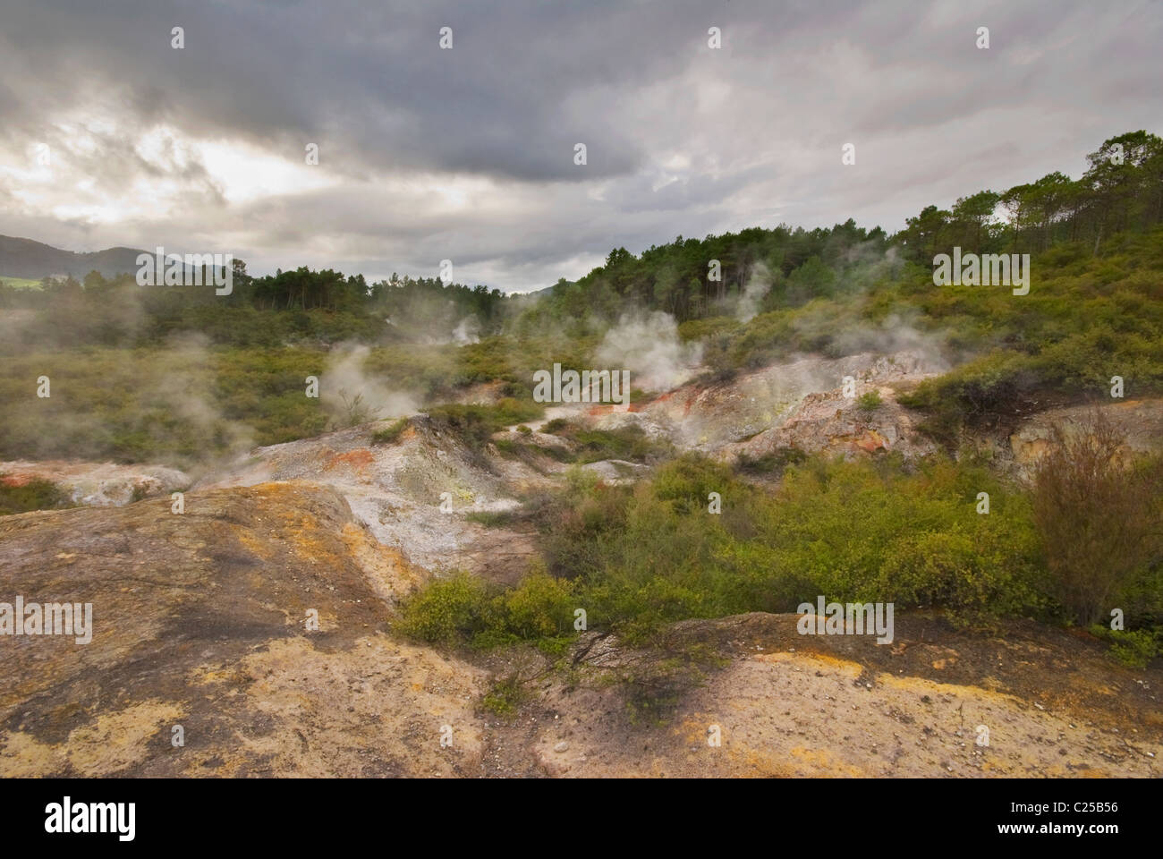 Thermal springs, Waiotapu, New Zealand Stock Photo - Alamy
