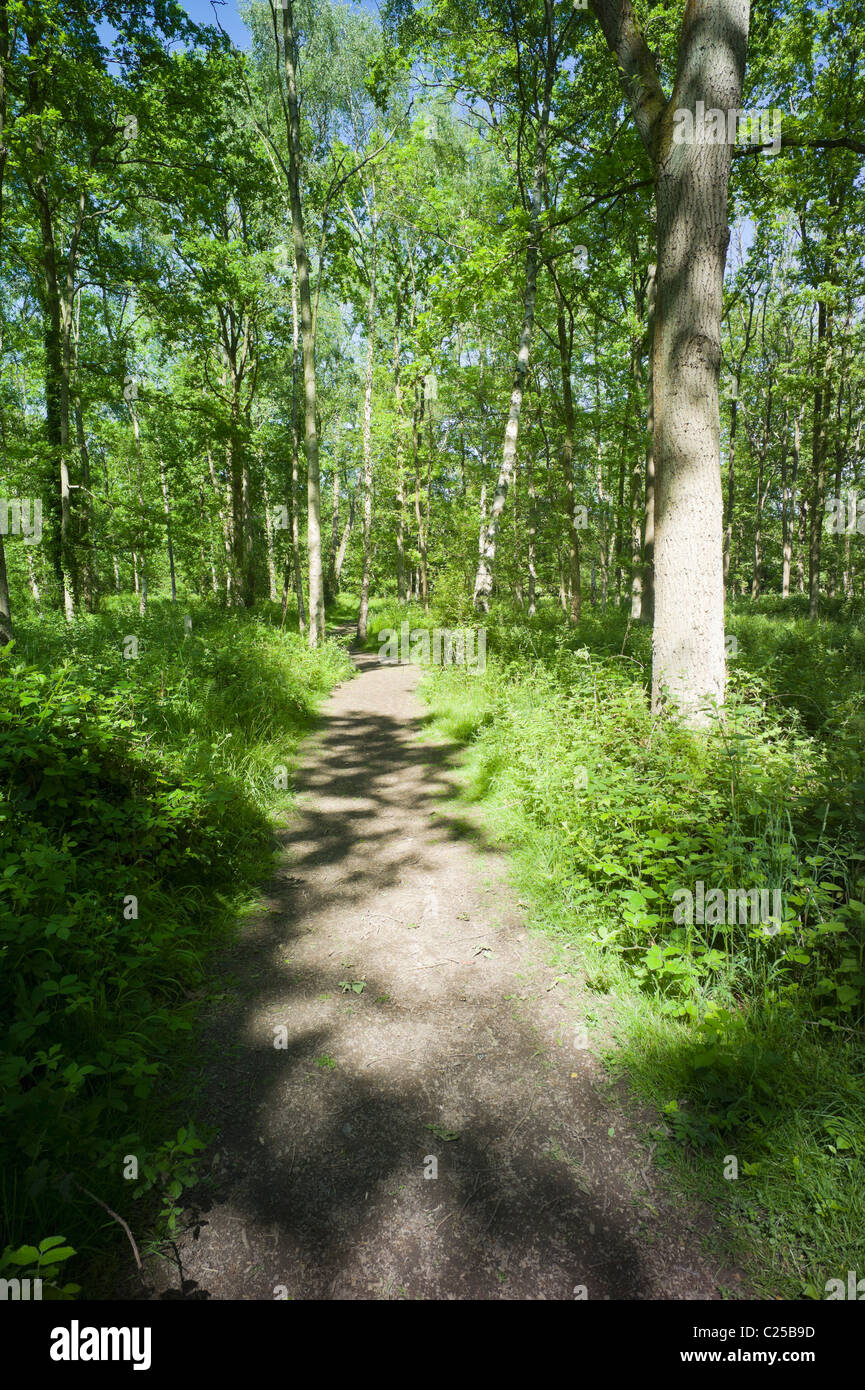 ragley hall estate warwickshire Stock Photo - Alamy