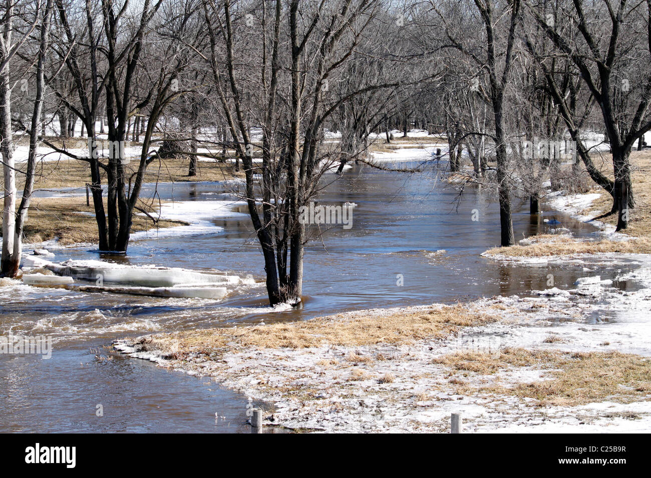 Spring flooding on small creek, North America Stock Photo - Alamy