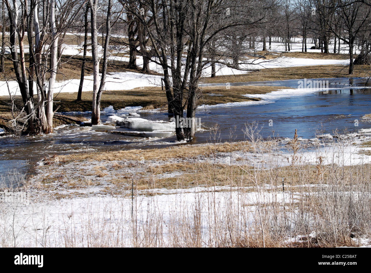 Spring flooding on small creek, North America Stock Photo - Alamy