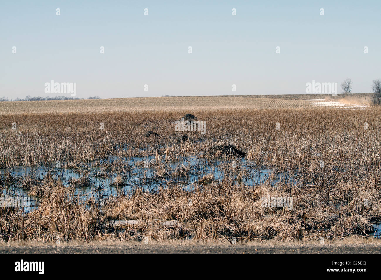 Muskrat Lodge High Resolution Stock Photography and Images - Alamy