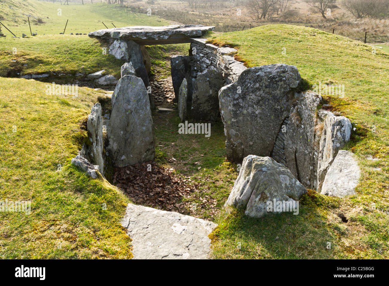 Capel neolithic burial chamber wales hi-res stock photography and ...
