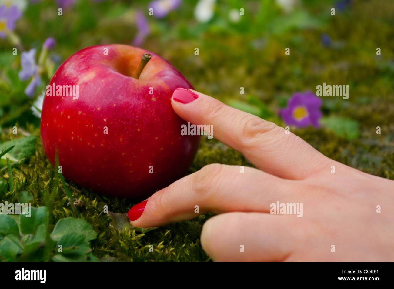 woman finger touching an apple Stock Photo - Alamy