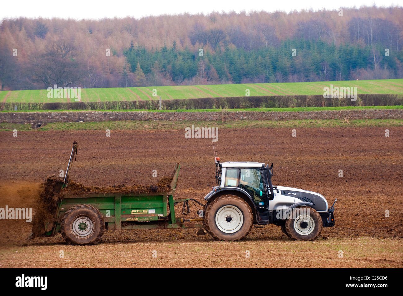 Muck spreading with a Valtra T151 tractor, on a field to be planted ...