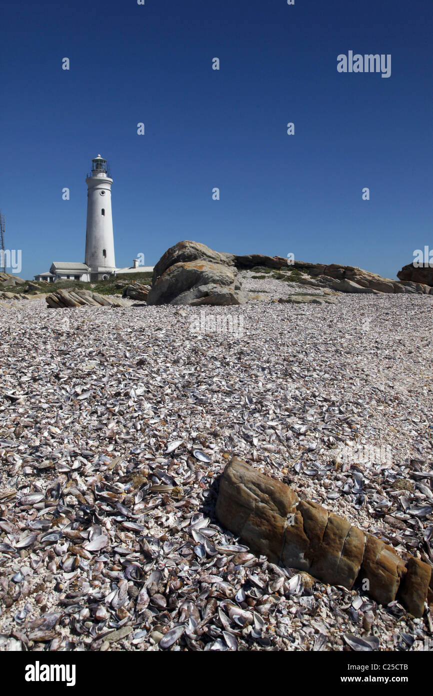 CRUSHED SHELLS & WHITE CAPE ST FRANCIS LIGHTHOUSE CAPE ST. FRANCIS ...